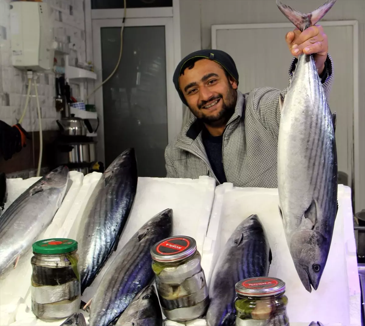 Sinop'ta Torik Balığı Tezgahlarda Arttı - Haberler