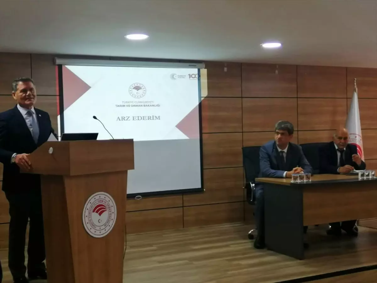 19 Mayıs ilçesinde kahverengi kokarca böceği zararları ve önlemleri ...