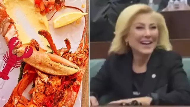 AK Partili Şebnem Bursalı “ıstakoz“ krizi sonrası ilk kez görüntülendi