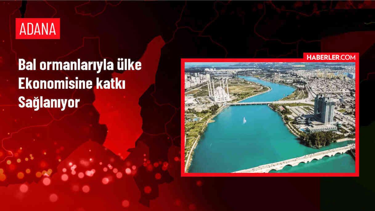 Orman Genel Müdürlüğü tarafından kurulan bal ormanlarıyla arıcılık ...