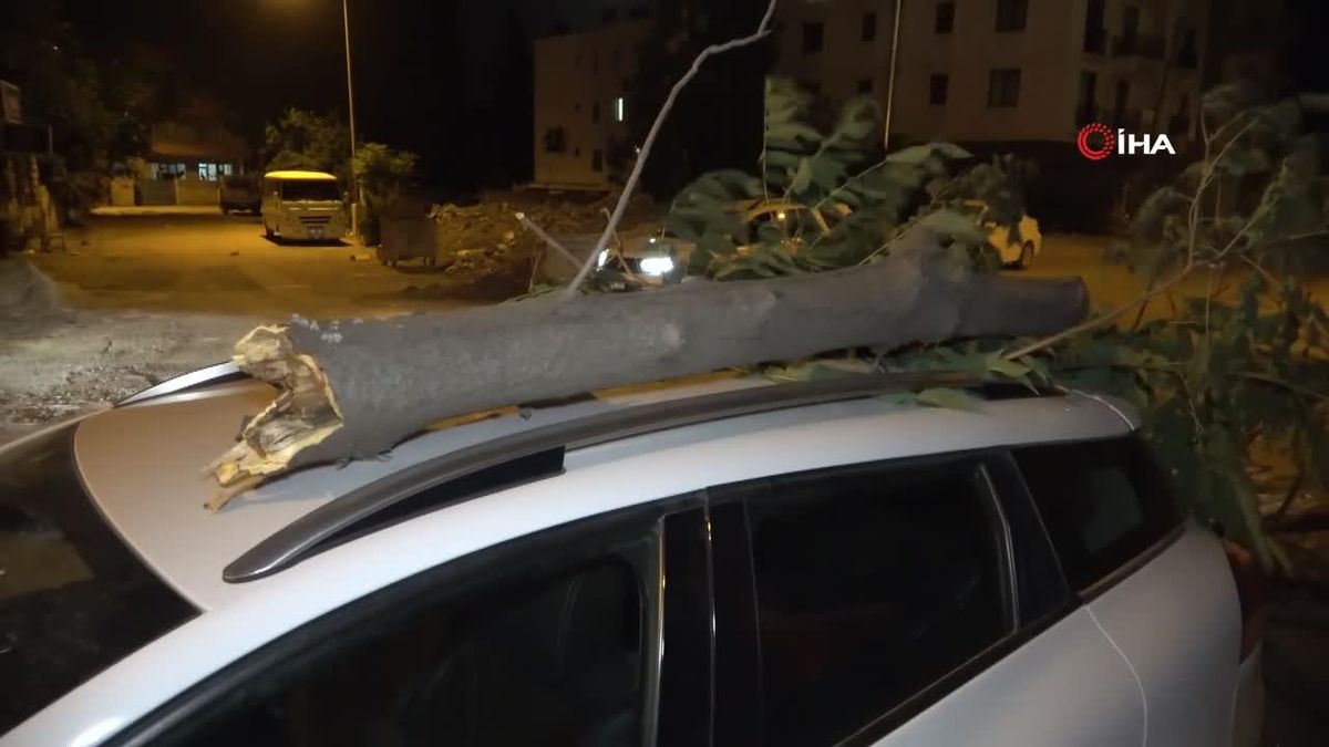 Şiddetli rüzgardan kırılan ağaç dalı aracın üzerine düştü - Haberler