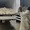 23 tons of expired cottage cheese was seized.