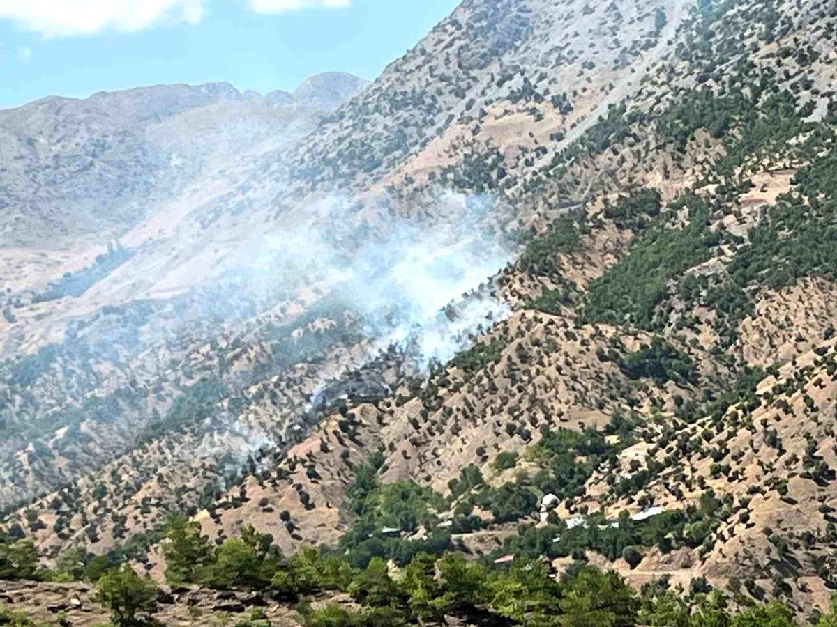 Bingöl'de Orman ve Arazi Yangınları Kontrol Altına Alındı - Haberler
