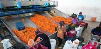 Elif Guzel Haberleri - Elif Guzel Kimdir - Haberler