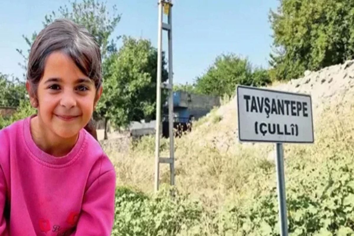 Narin'in köyünde ara seçim: Yeni muhtar belli oldu - Haberler