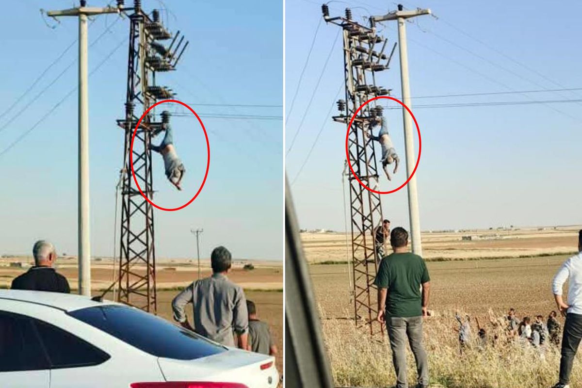 Direkte can pazarı! Akıma kapılıp baş aşağı asılı kaldı - Haberler