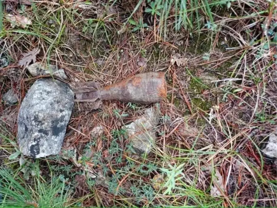 Bolu'da Mantar Toplarken Patlamamış Havan Topu Mermisi Bulundu - Haberler